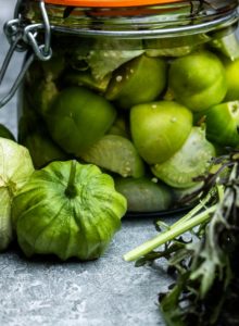 Common Tomatillo Plant Problems and Solutions – Bountiful Gardener