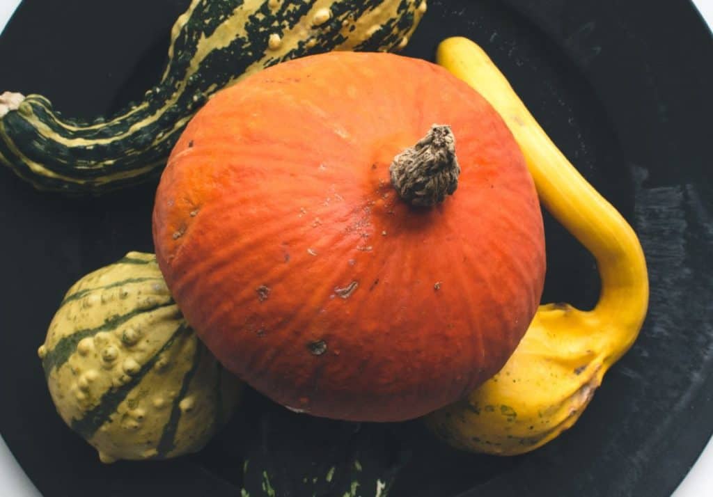 9 Best Winter Squash to Grow in 2021 – The Bountiful Gardener