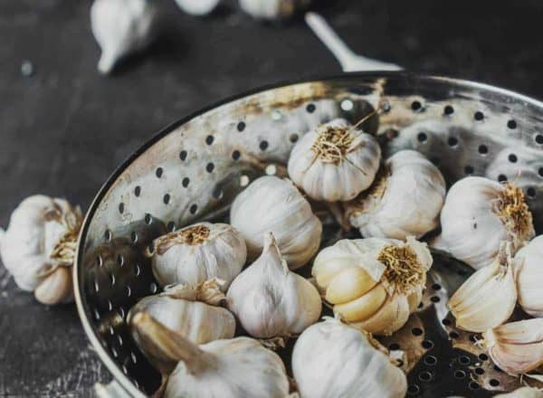 5 Must-Grow Hardneck Garlic Varieties for 2021 – Bountiful Gardener