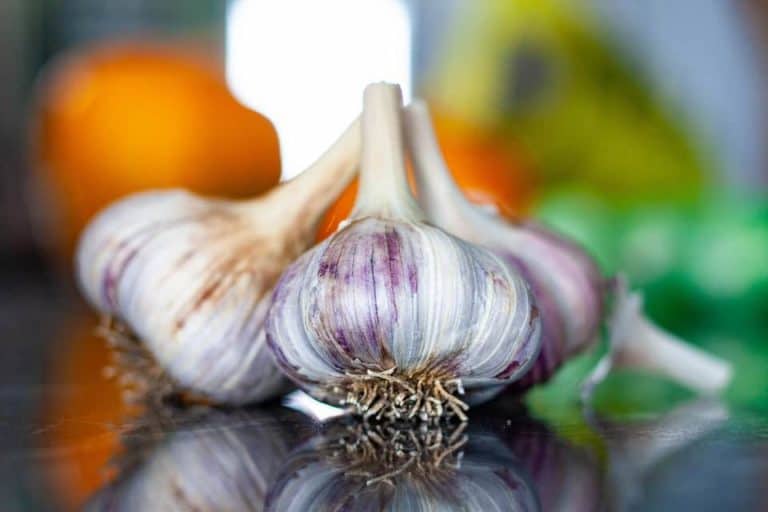5 Must-Grow Hardneck Garlic Varieties – Bountiful Gardener