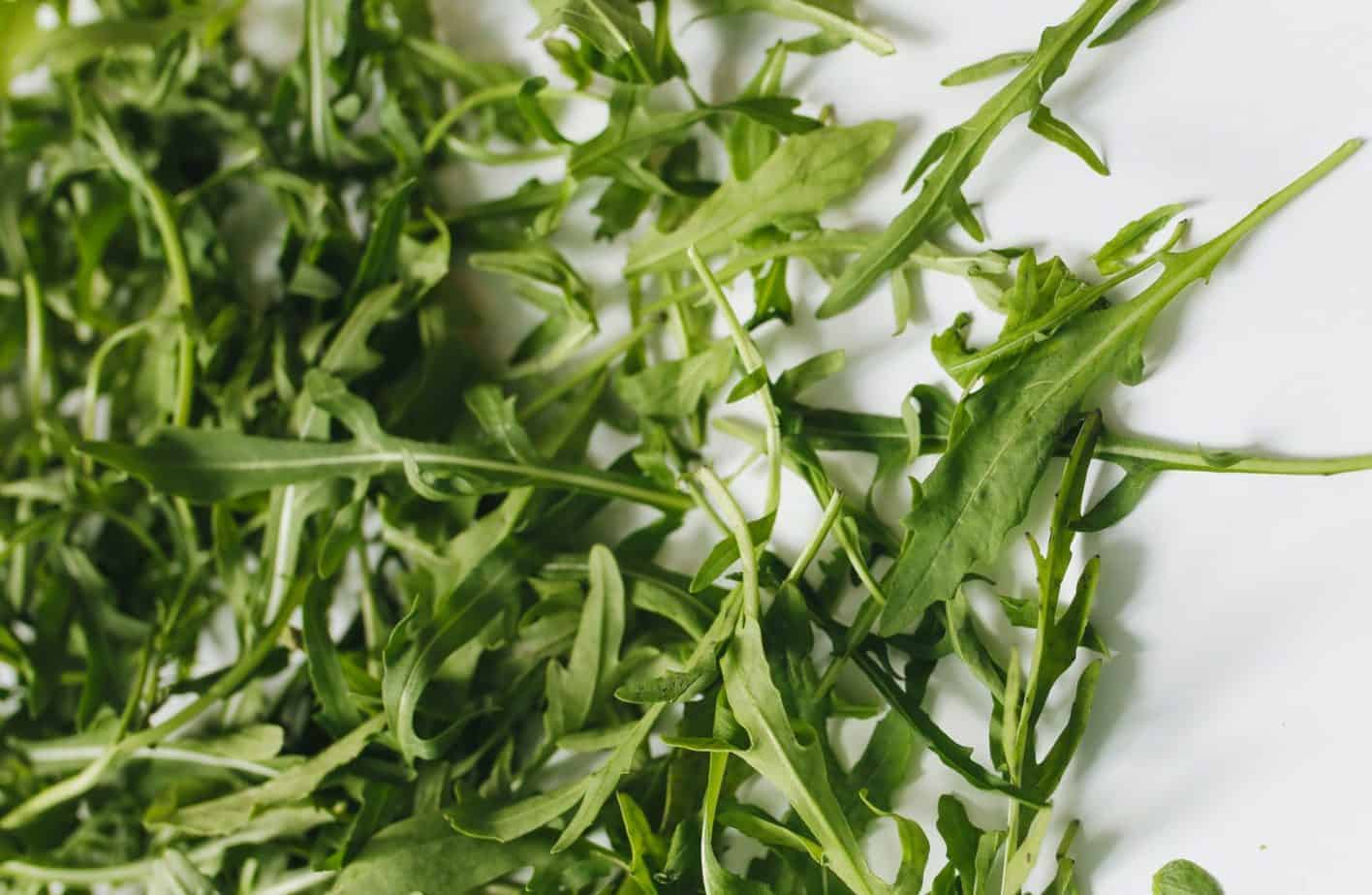 5 Best Heat Tolerant Arugula Varieties | Slow-Bolting Arugula – The ...
