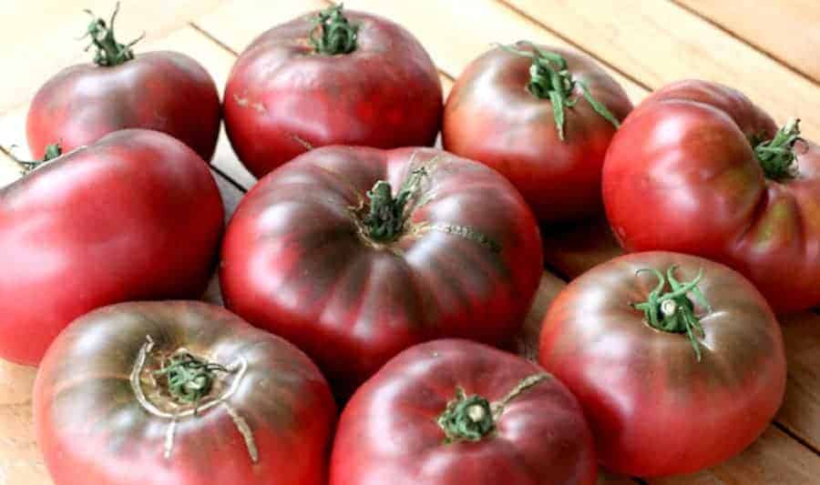 How to Grow Rosella Purple Tomato | Dwarf Plants, Big Fruits! – The Bountiful Gardener