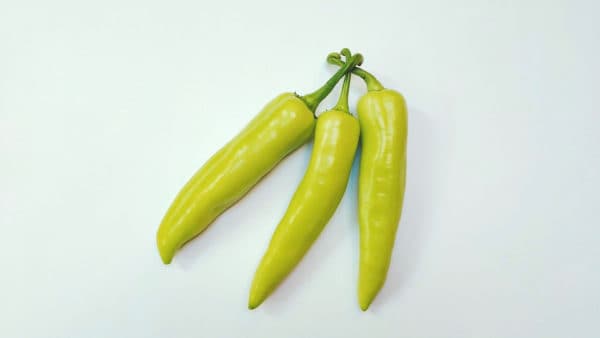 When Should You Pick Banana Peppers? (Guide and Q&A) – Bountiful Gardener