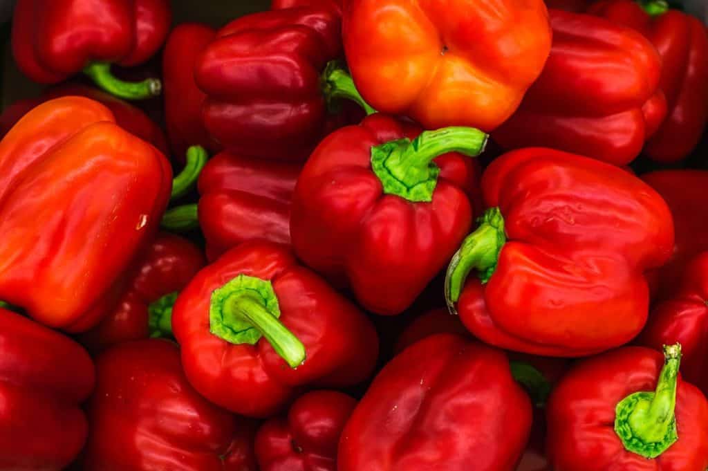 7+ Sweetest Pepper Varieties (and Where to Get Seeds) – Bountiful Gardener