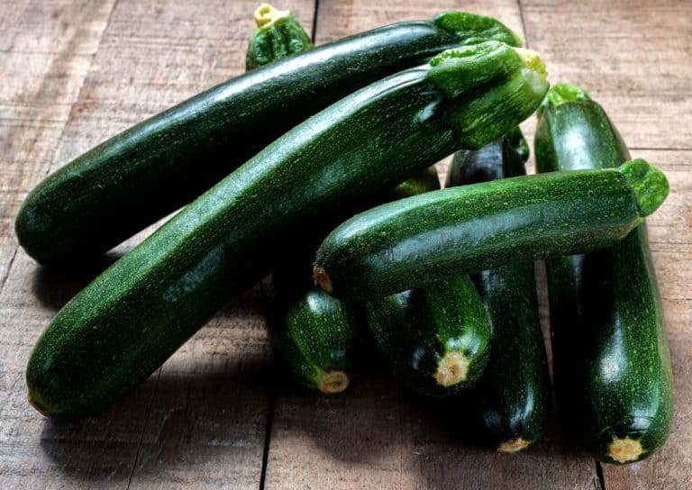 7 Best Heat Tolerant, Disease Resistant Zucchini Varieties – Bountiful ...
