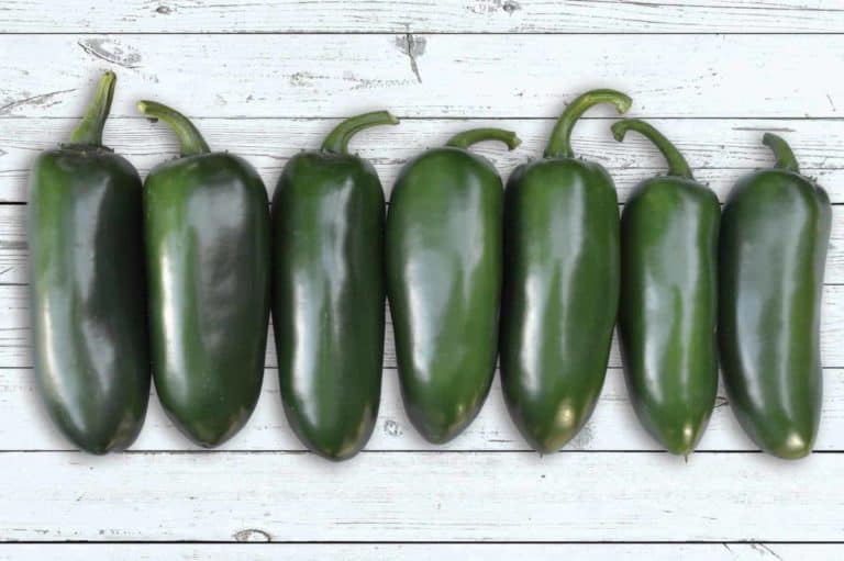 7 Biggest Jalapeno Varieties to Grow (& How to Get Seeds) – Bountiful ...
