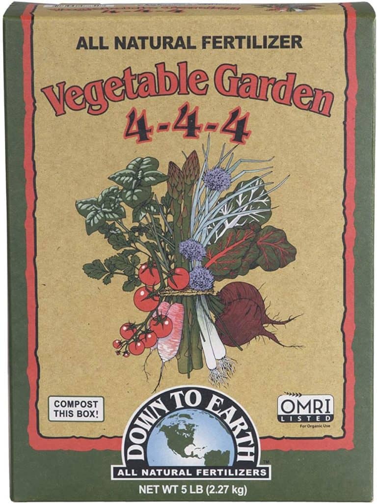 12 Fertilizers for a Bumper Okra Harvest – Bountiful Gardener