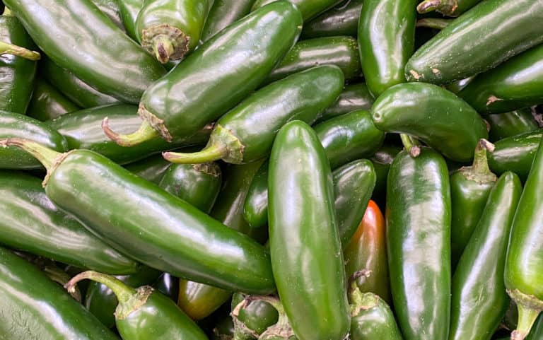 7 Biggest Jalapeno Varieties to Grow (& How to Get Seeds) – Bountiful ...