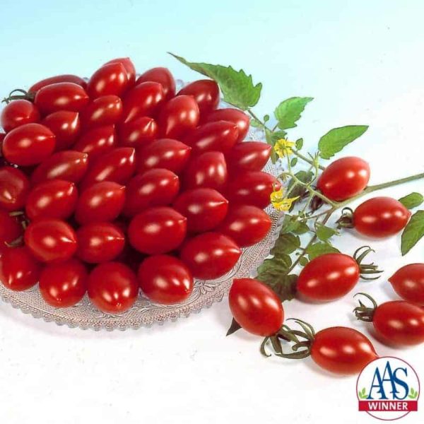 5+ Best Tasting Hybrid Tomatoes to Grow – Bountiful Gardener