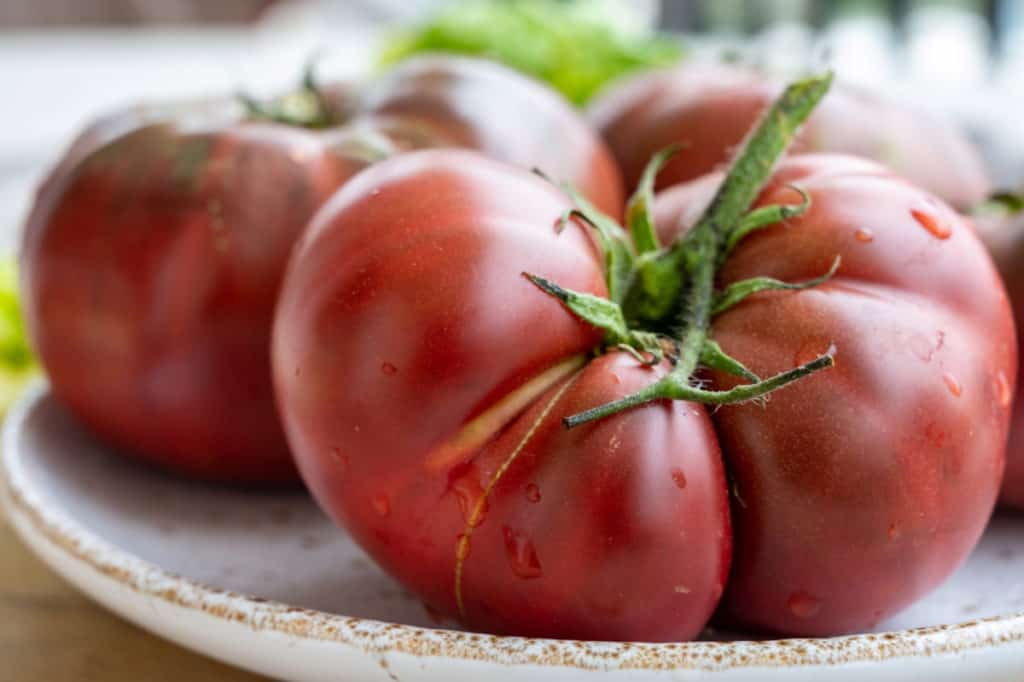 All About Heirloom Tomatoes (Common Questions & Answers) – Bountiful ...