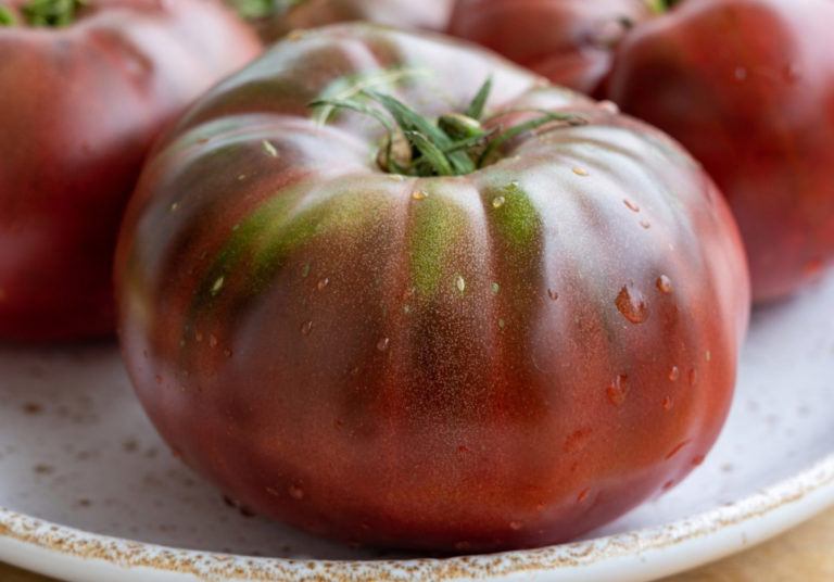 5+ Best Tasting Hybrid Tomatoes to Grow – Bountiful Gardener